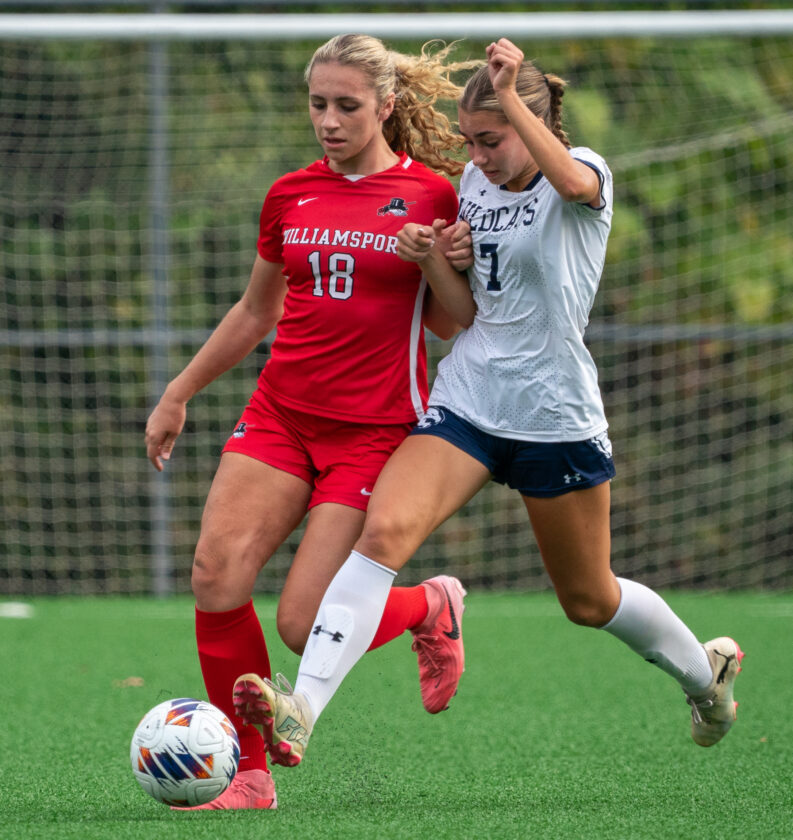 Jaelynn Helmrich scores game-winner in OT as Williamsport girls defeat ...